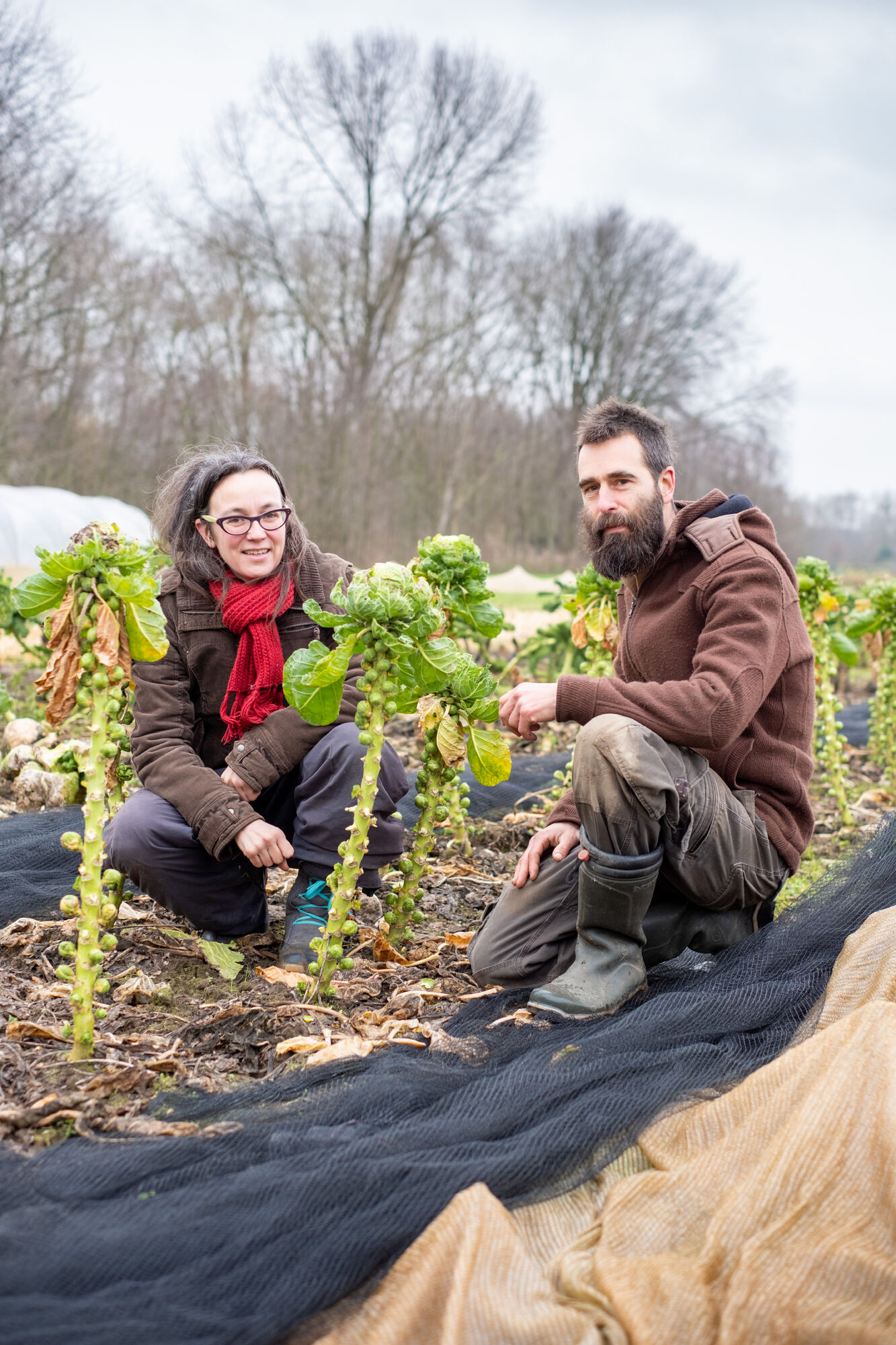 Groenten plukken bij zelfoogstboerderij ‘t LEKKERLAND - Gemeente Puurs ...